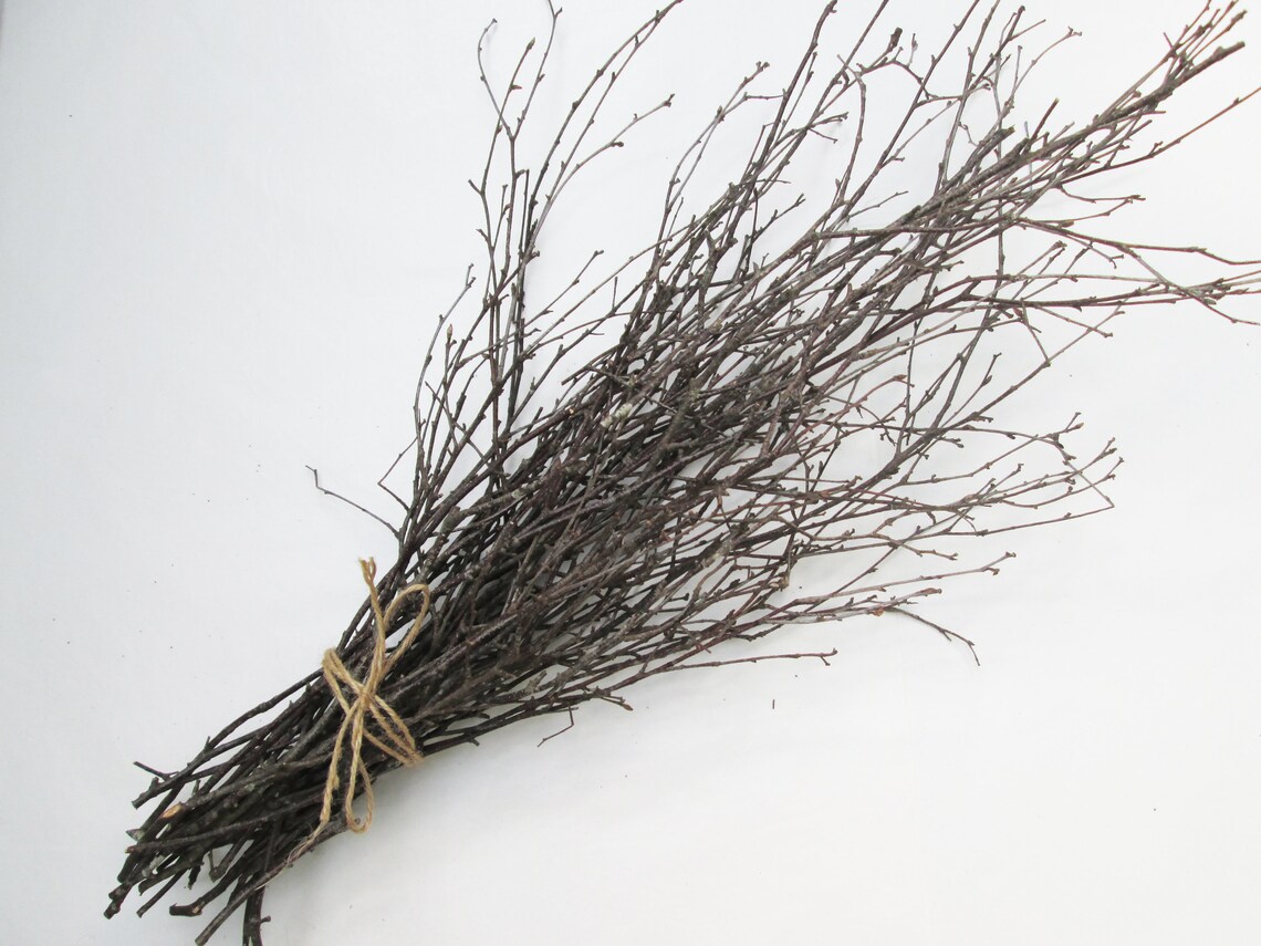 Natural Eco Dried Birch Branch Bundle Bunch Birch Branches - Etsy UK