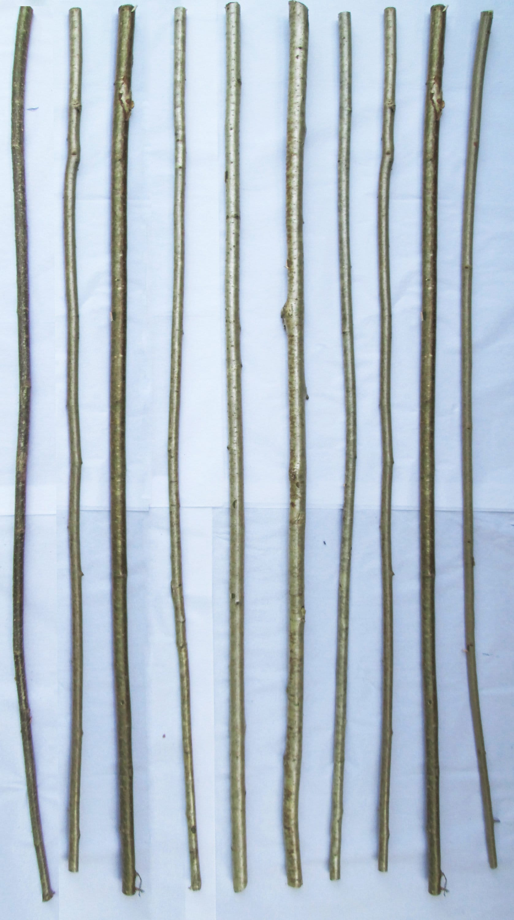 10 X 90cm Long Straight Natural Hazel Wood Branches Sticks - Etsy UK