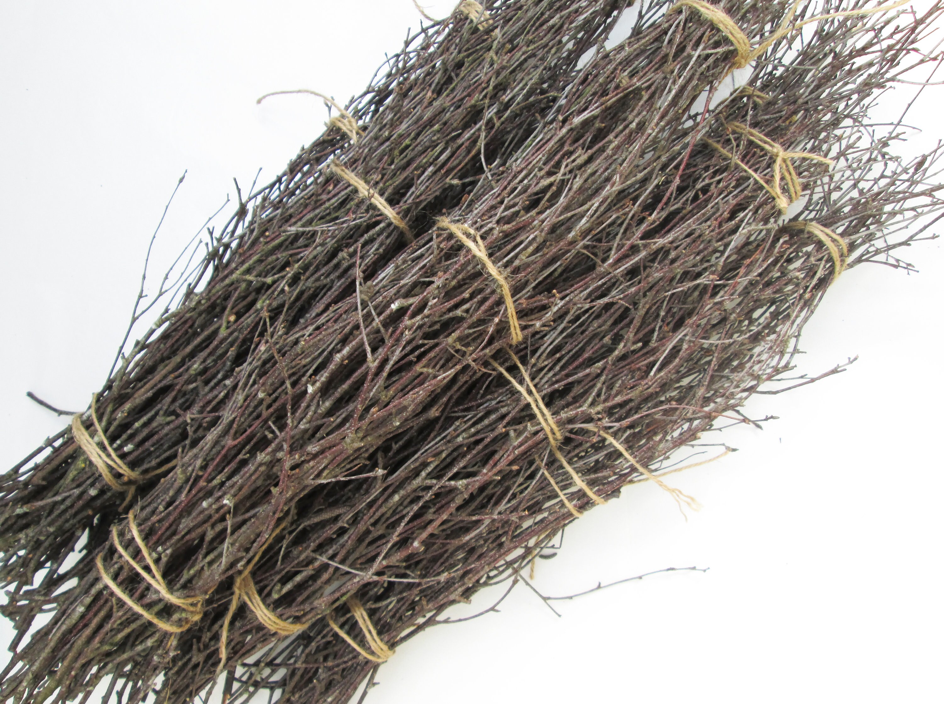 Natural Eco Dried Birch Branch Bundle Bunch Birch Branches - Etsy UK