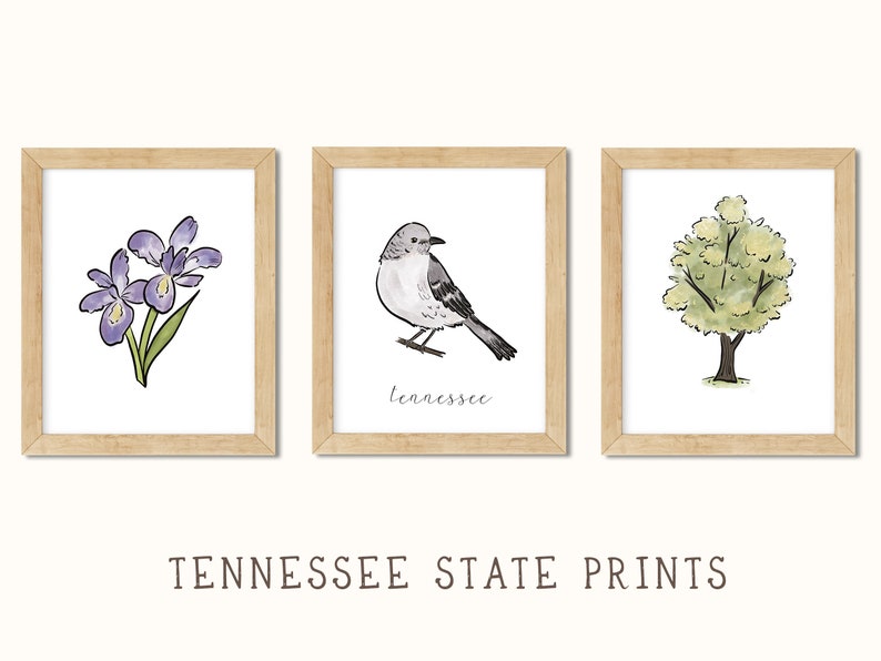Tennessee State Wall Art Tennessee Prints Tennessee State Bird ...