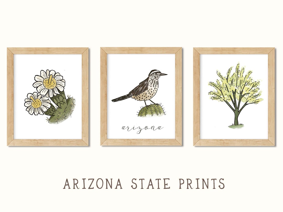 Arizona Wall Art - Arizona State Bird, Tree, Flower | Arizona Print ...