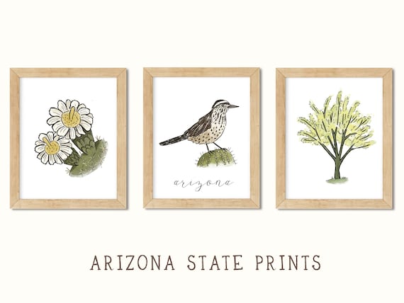 Arizona Wall Art Arizona State Bird Tree Flower Arizona | Etsy