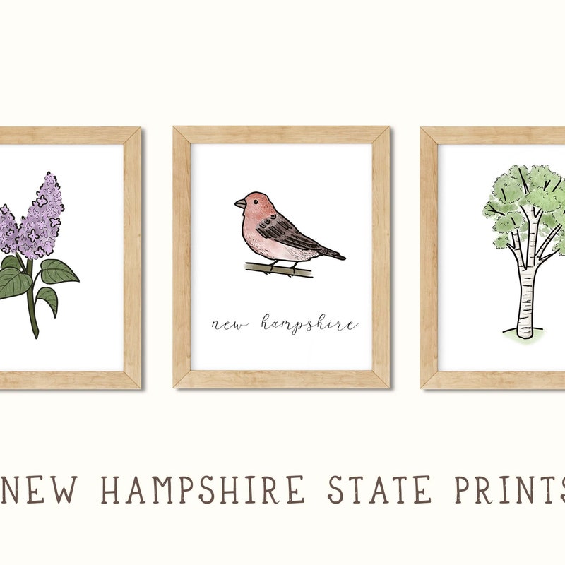 New Hampshire Art - Etsy