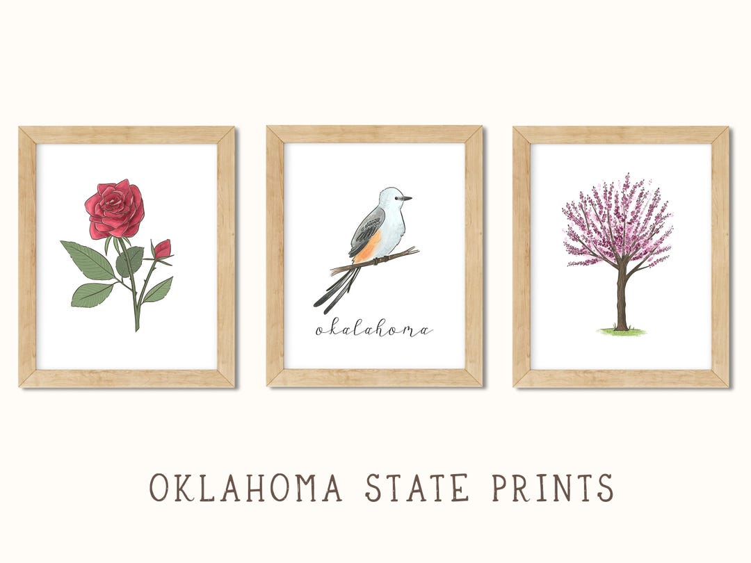 Oklahoma State Symbols Wall Prints, Oklahoma State Bird, Flower, Tree ...