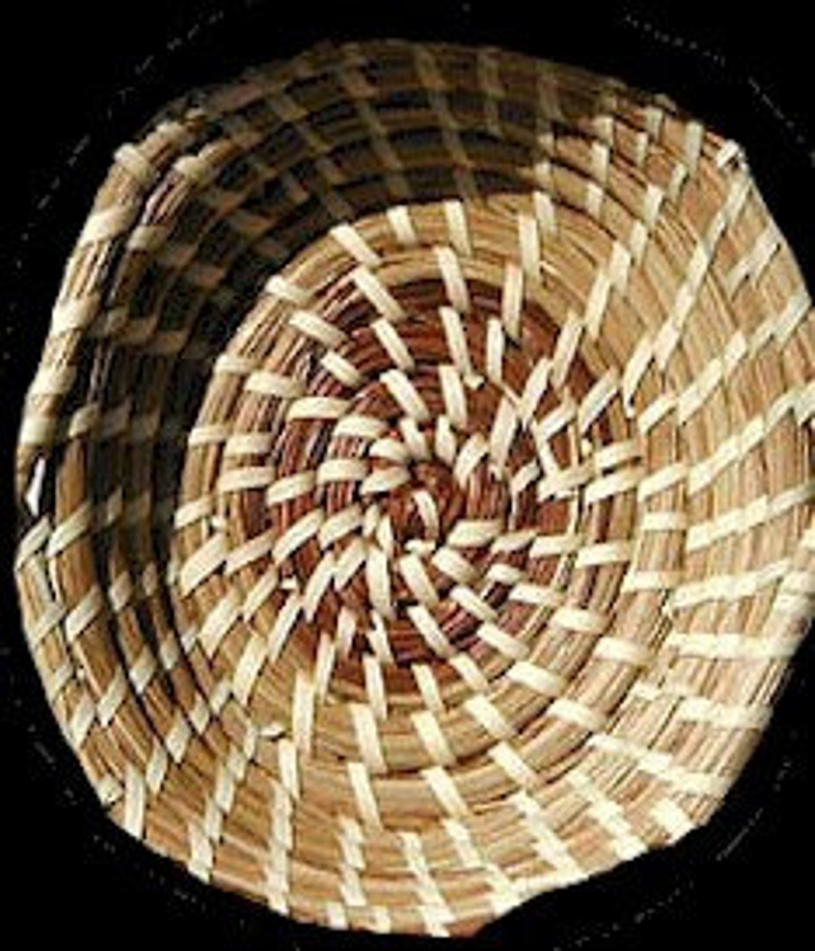 Sweetgrass™ Fragrance Oil for Candle Making 3 sizes | Etsy