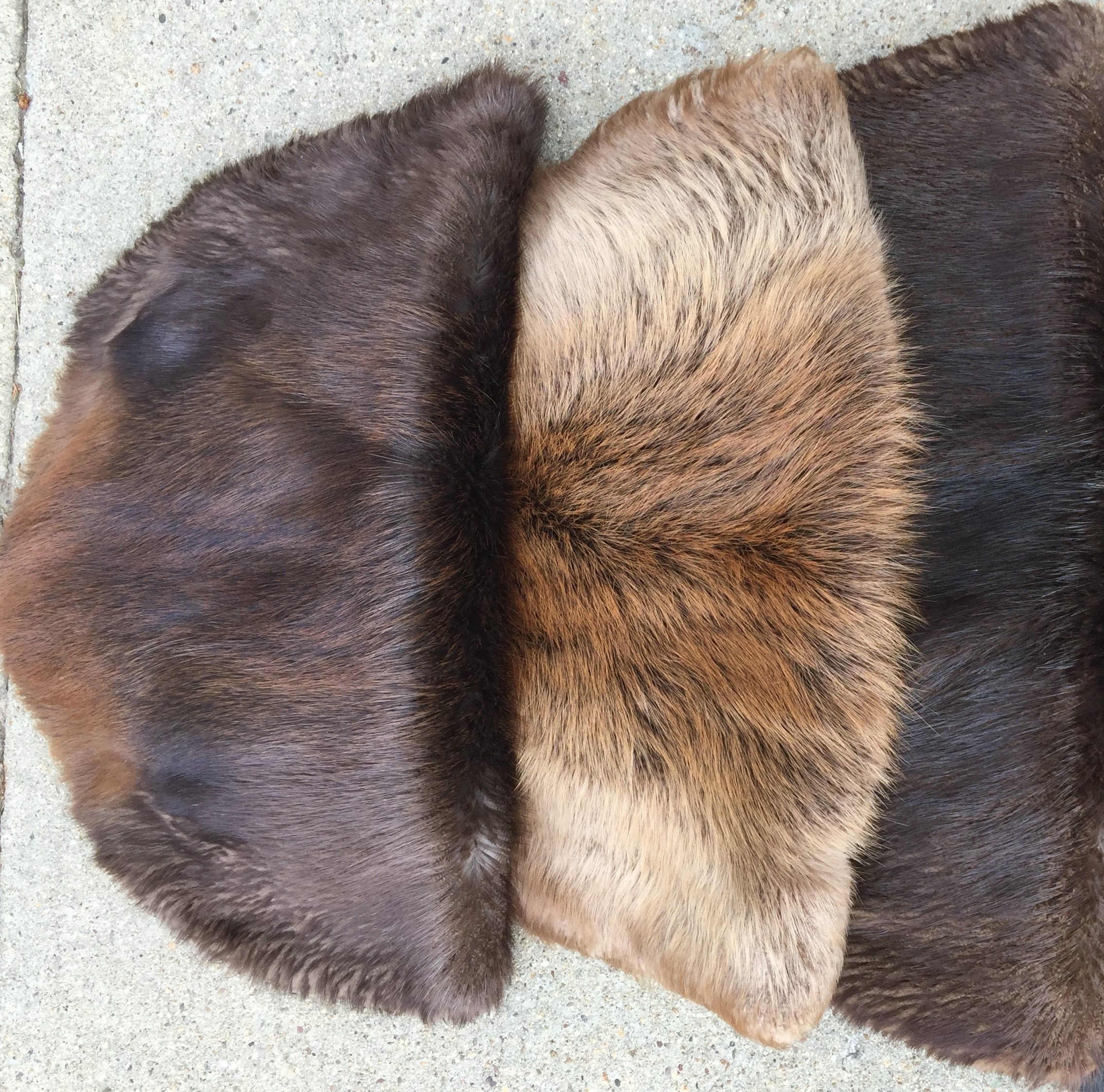 Tanned Fur - Beaver Hides Winter Prime Pelts - Large / Extra Large L/XL ...