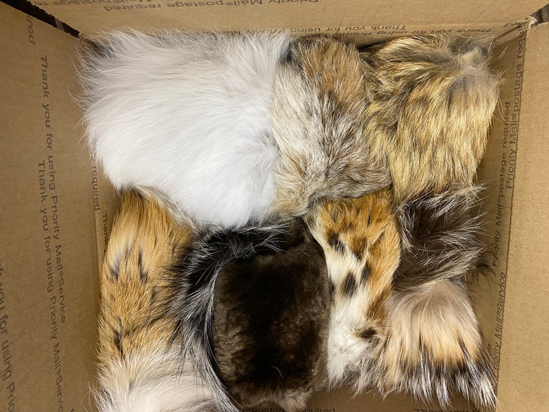 Real Scrap Tanned Fur Bobcat, Lynx, Silver Fox, Sheared Beaver, Arctic ...