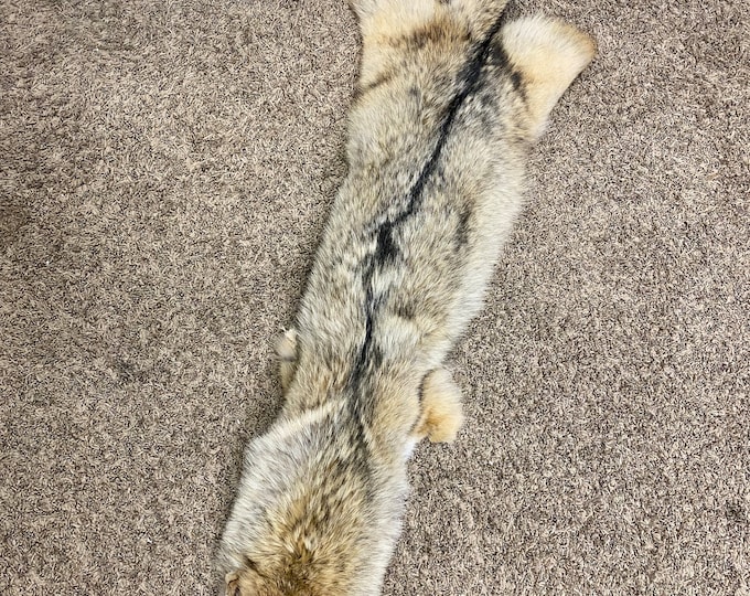 Tanned Fur - Ermine - Hides Pelts Skins Winter Long Tail Weasels 10 ...