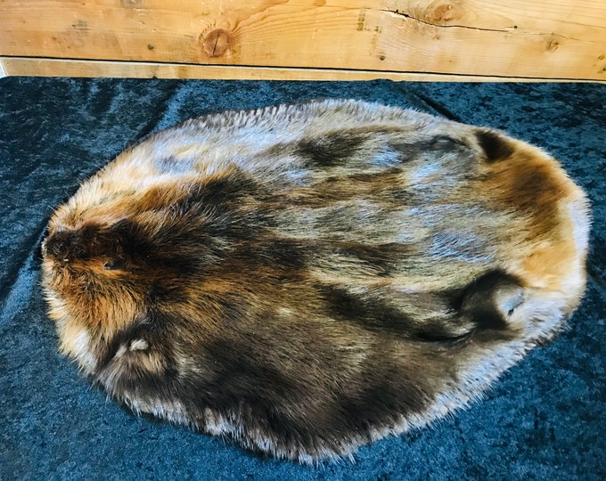 Tanned Fur - Ermine - Hides Pelts Skins Winter Long Tail Weasels 10 ...