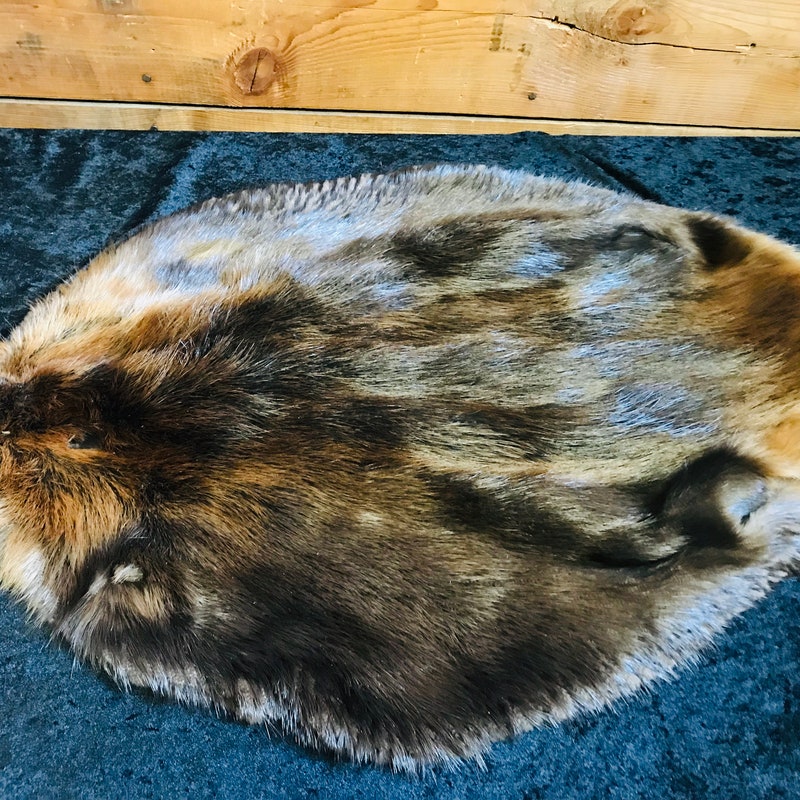 Beaver Pelt - Etsy