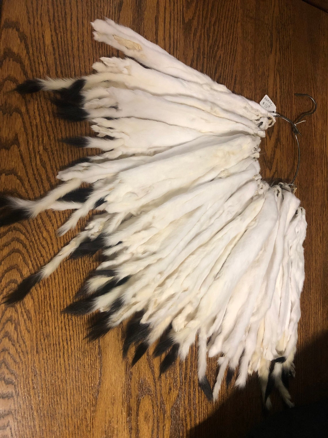 Tanned Fur - Ermine - Hides Pelts Skins Winter Long Tail Weasels 10 ...