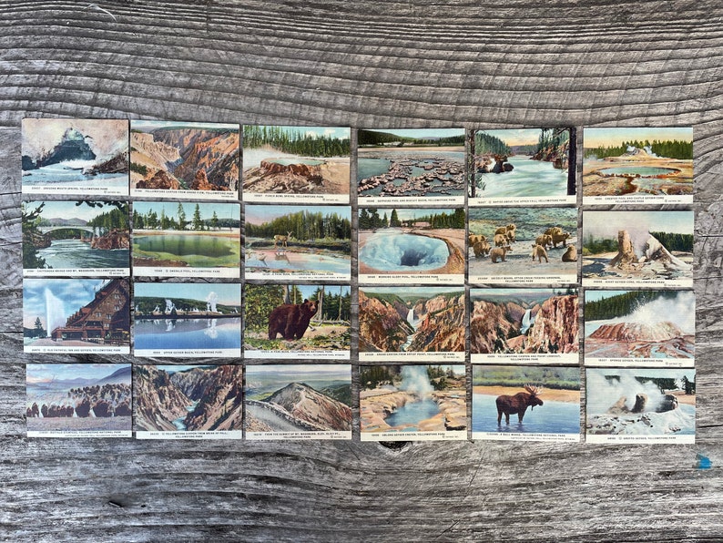 Vintage Haynes Yellowstone National Park Souvenir Card Set of 24 - Etsy