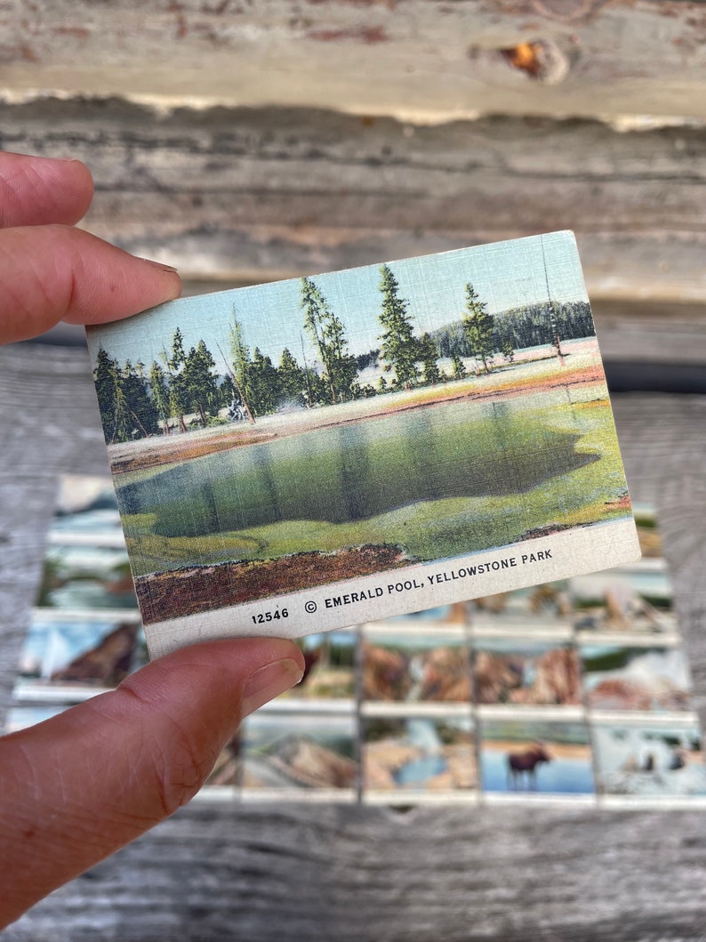 Vintage Haynes Yellowstone National Park Souvenir Card Set of 24 - Etsy