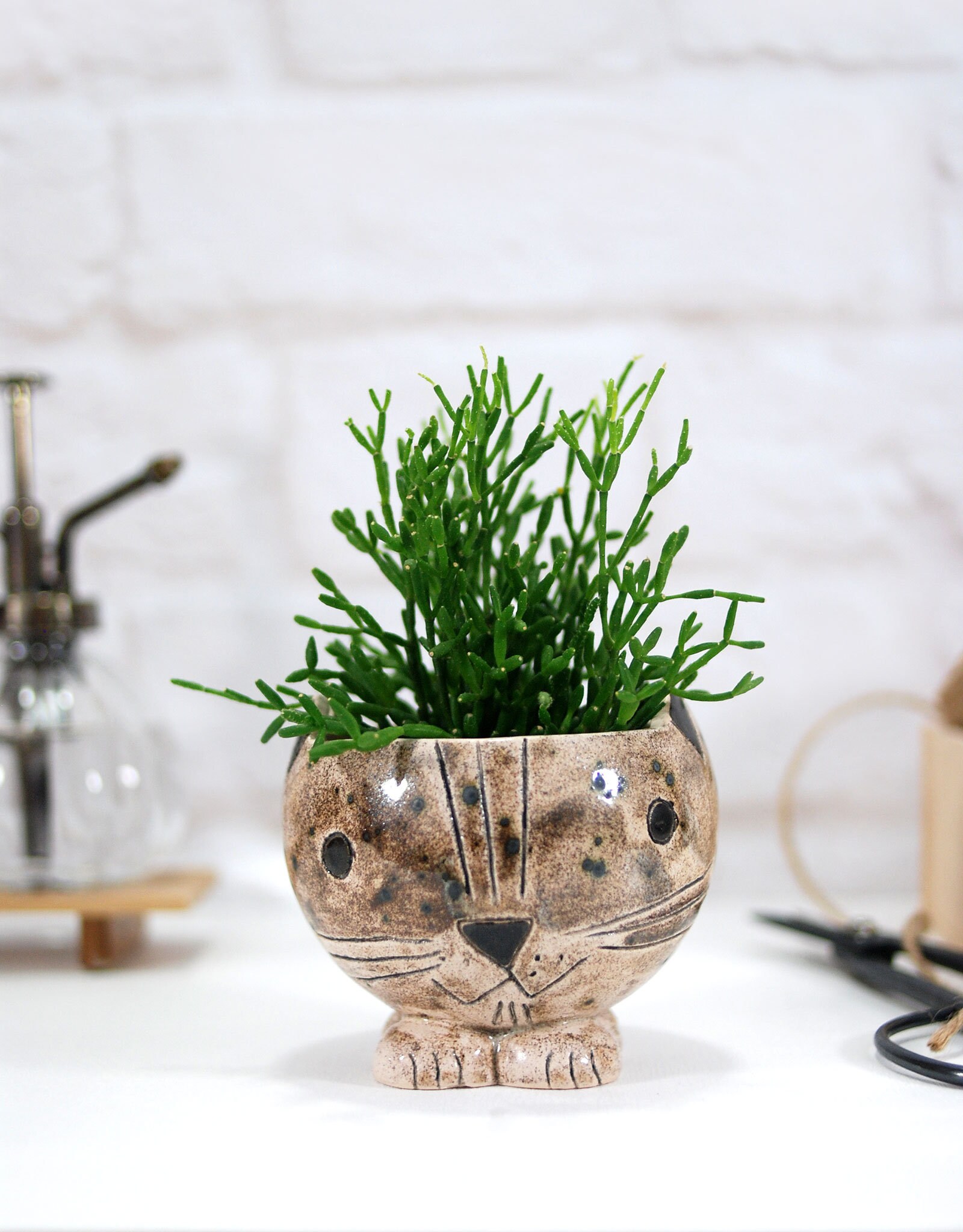 Mini ceramic planter pot with cute handpainted cat face / | Etsy