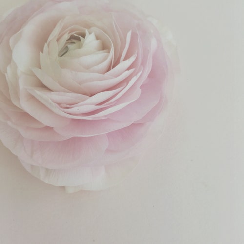 Jessicabethelphoto - Etsy
