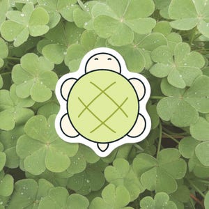 Turtle Melon Pan Japanese Bread Vinyl Sticker Pink or Green- for Water ...