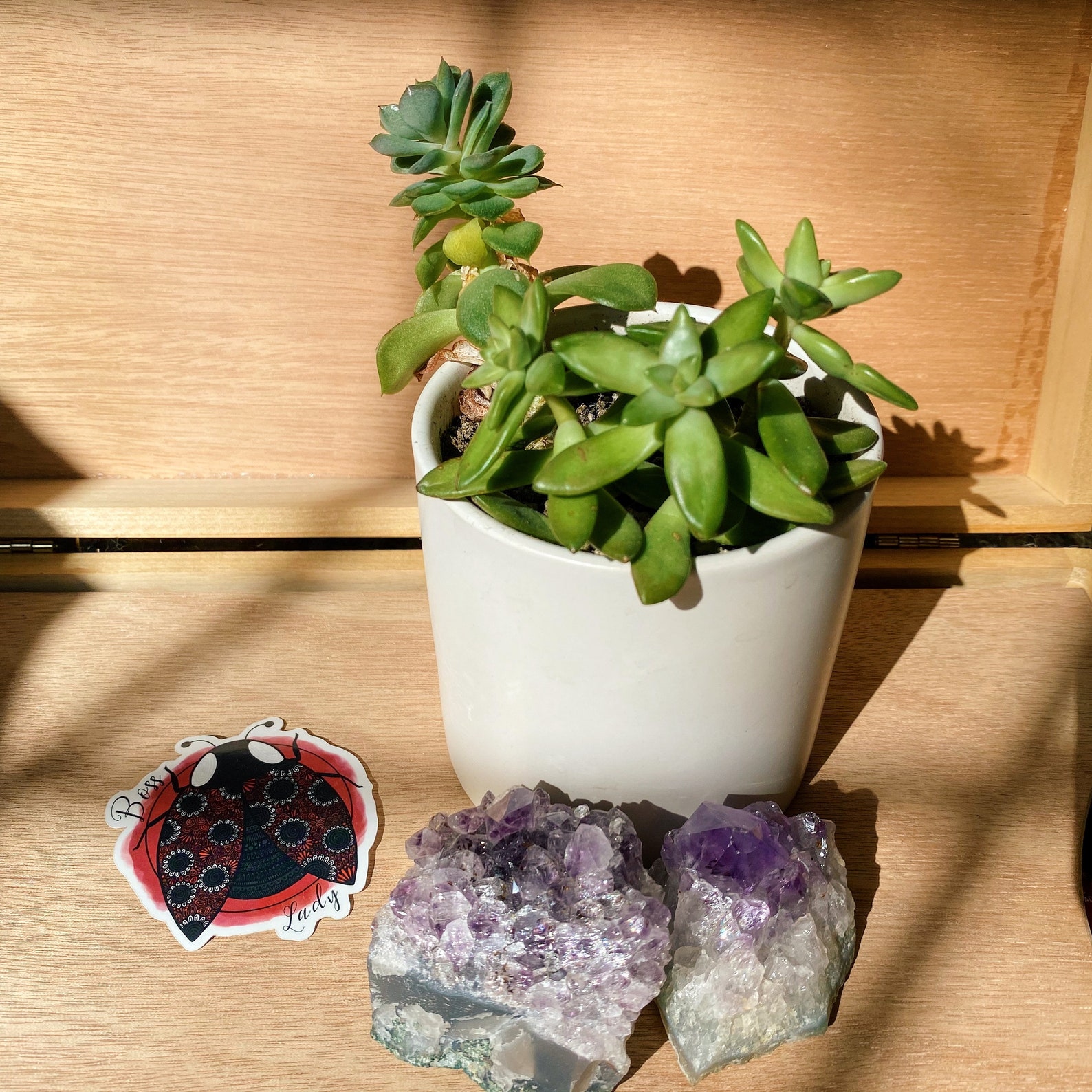 Boss Lady Sticker - Etsy