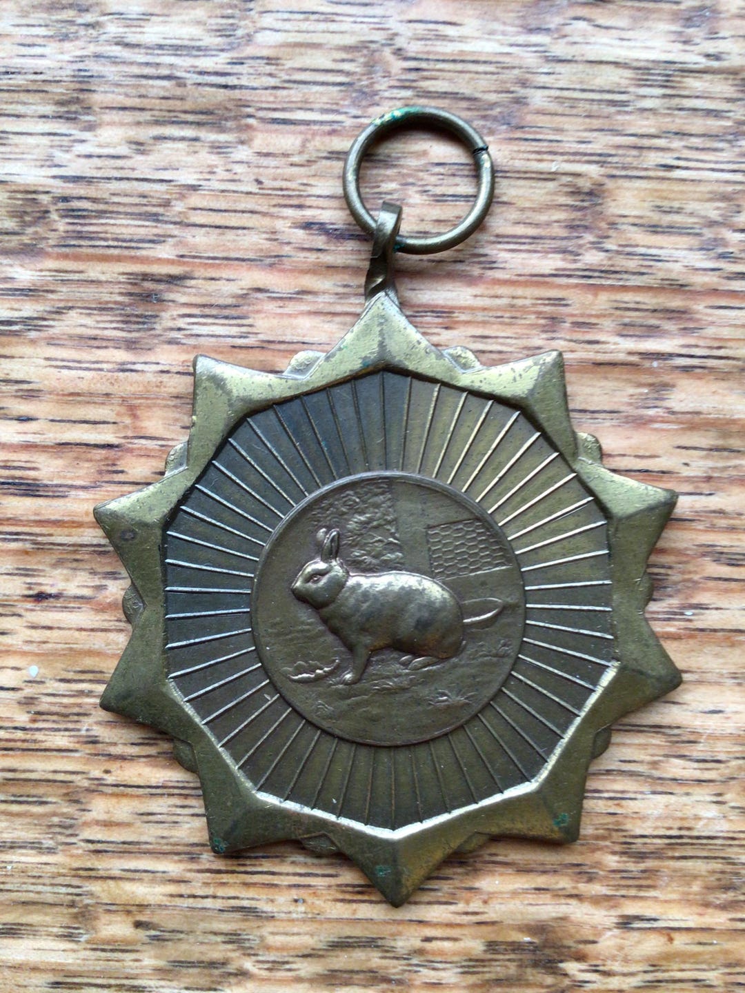 Vintage Rabbit Medallion Cast Brass Ornate Border. - Etsy Australia