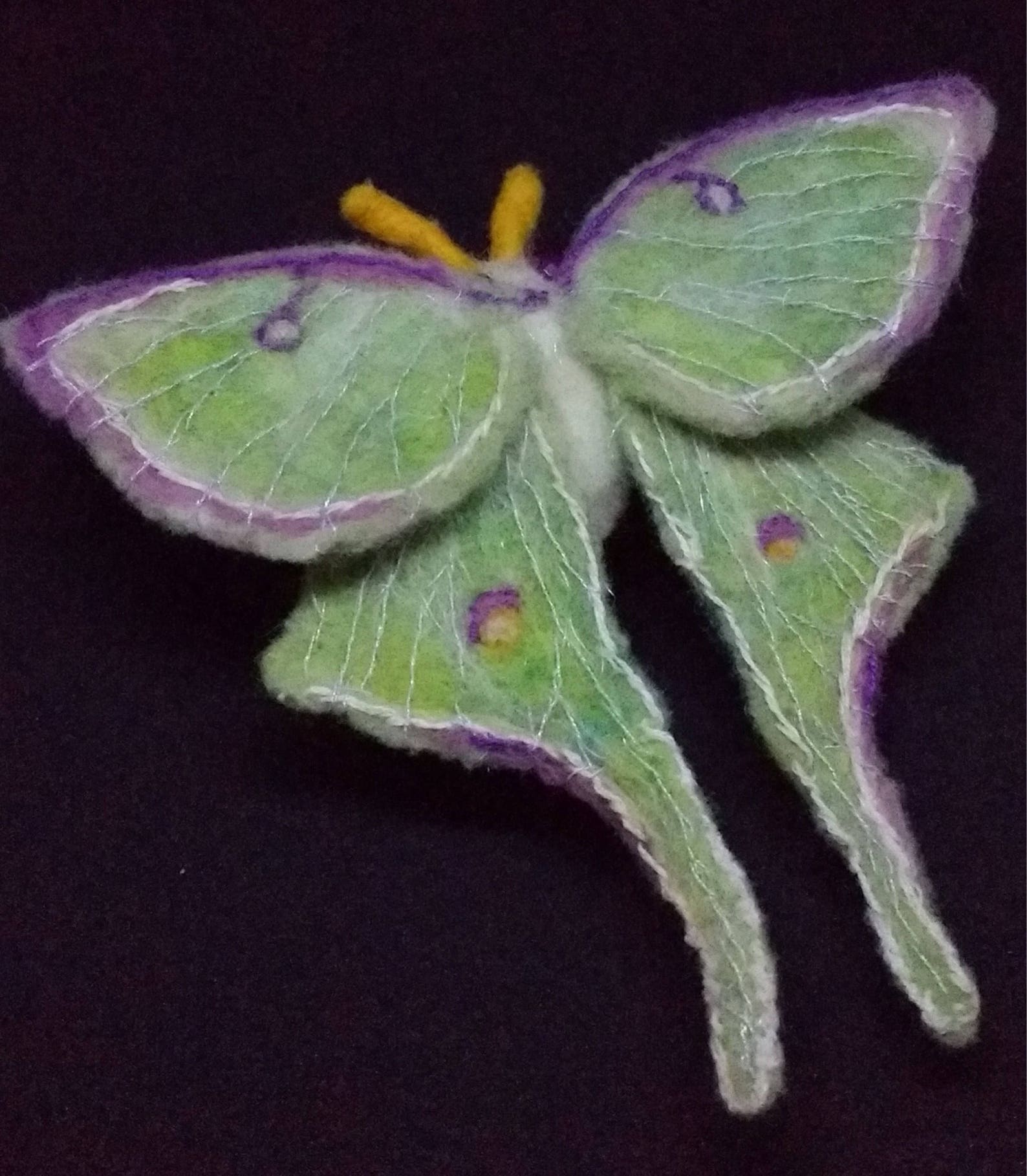 Luna Moth. NEW. Soft Sculpture, Needle Felted Insect, Fibreart, Art ...