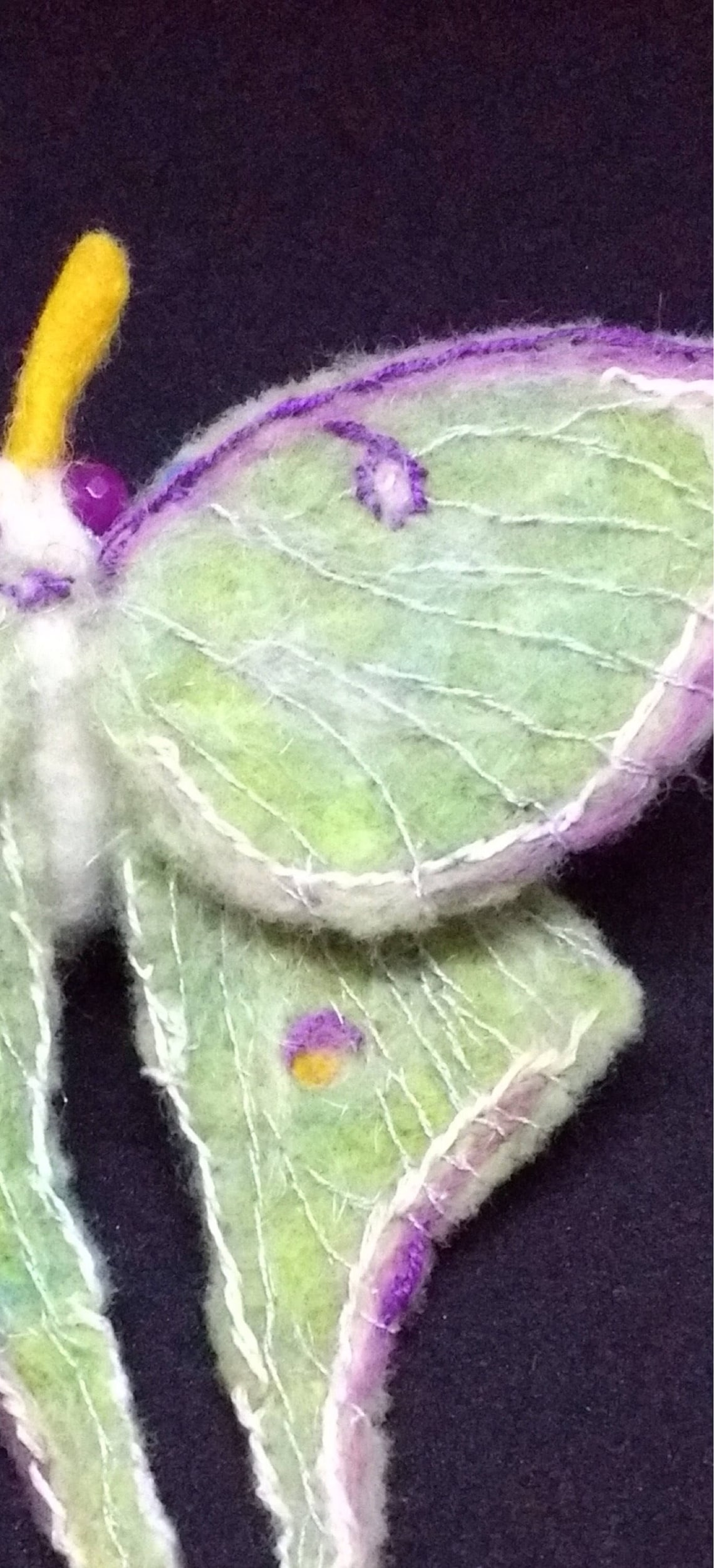 Luna Moth. NEW. Soft Sculpture Needle Felted Insect - Etsy UK