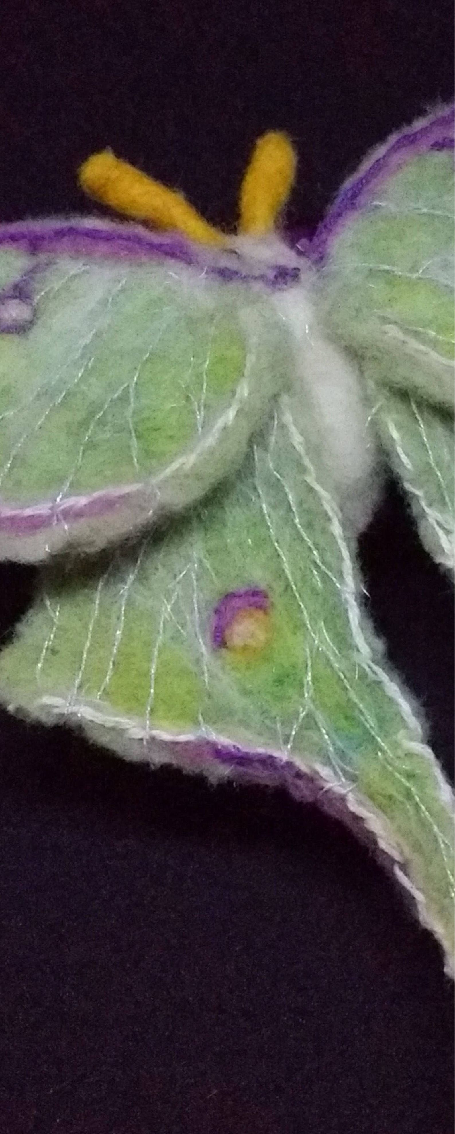 Luna Moth. NEW. Soft Sculpture, Needle Felted Insect, Fibreart, Art ...