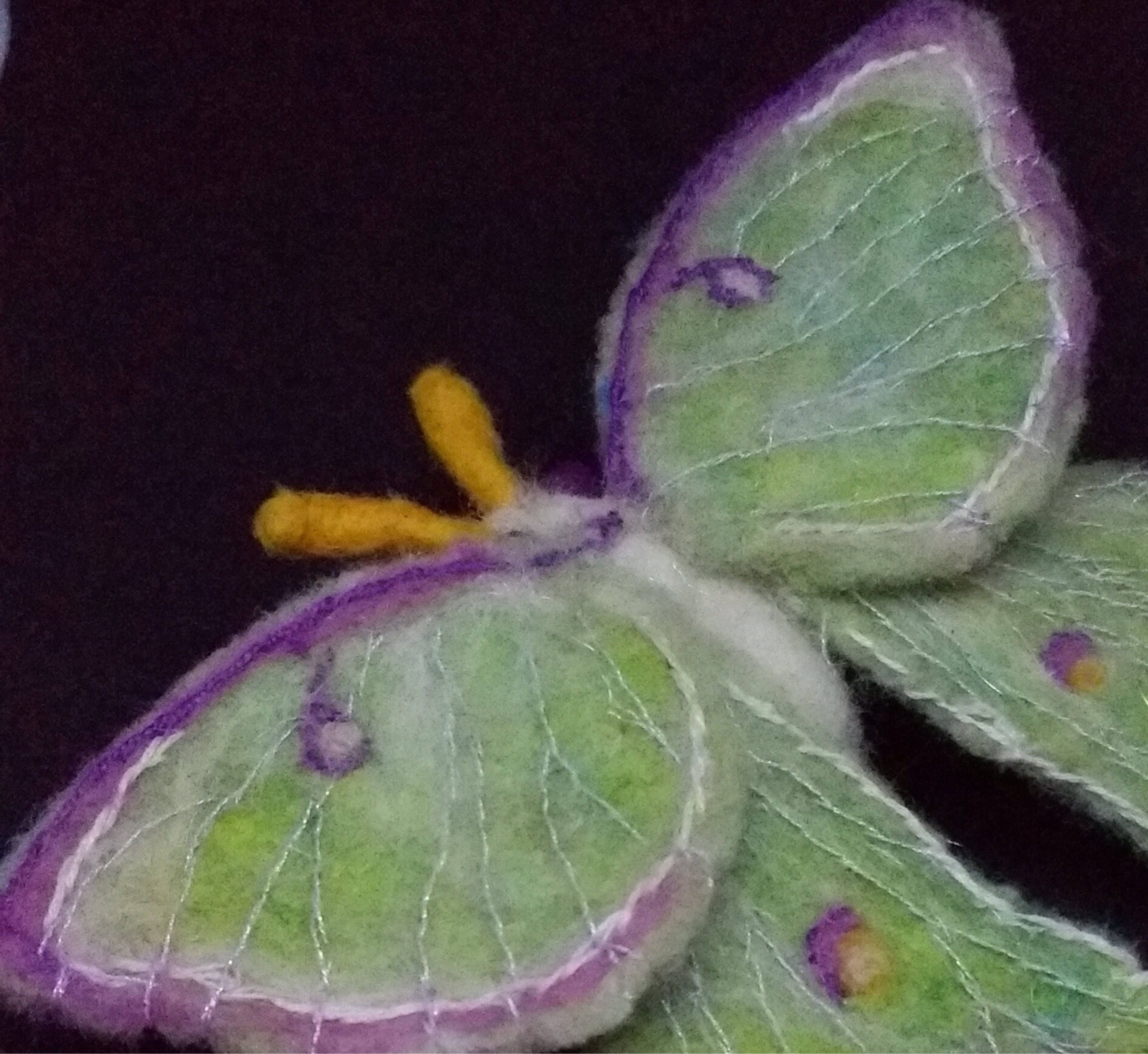 Luna Moth. NEW. Soft Sculpture, Needle Felted Insect, Fibreart, Art ...