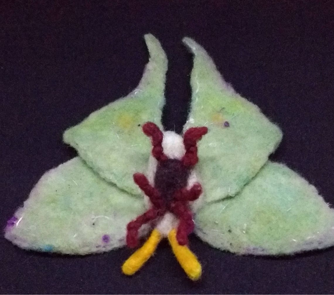 Luna Moth. NEW. Soft Sculpture, Needle Felted Insect, Fibreart, Art ...