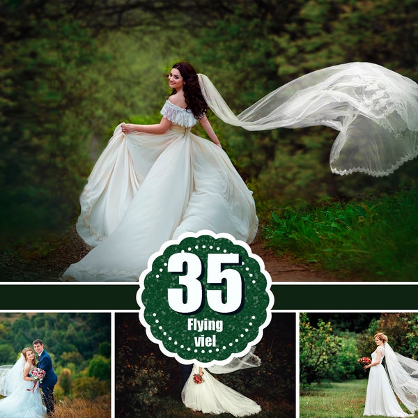 Photoshop Overlay Wedding Veil - Etsy