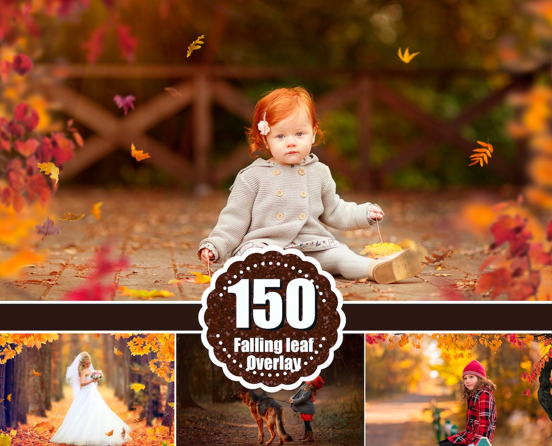 150 Falling Leaves Photo Overlays, Photoshop Mix Overlays, Autumn ...