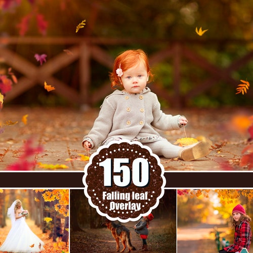 55 Falling Leaves Overlays Photoshop Mix Overlays Photo - Etsy