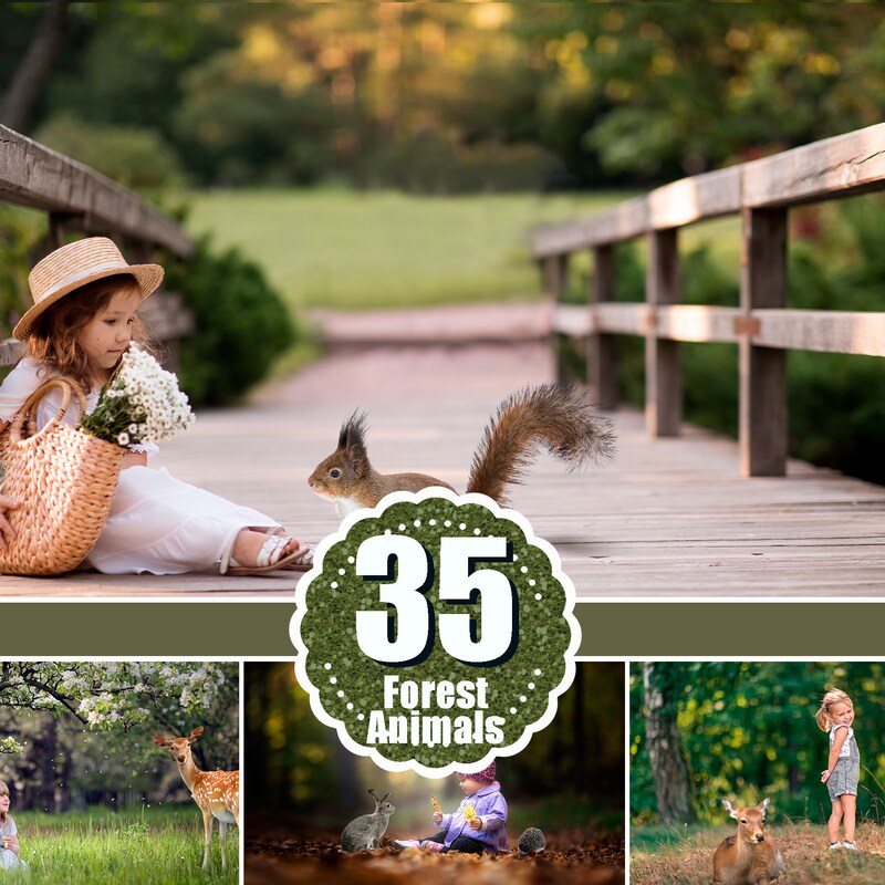 Animal Overlays - Etsy