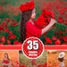 35 Red Poppies Overlays, Poppy Photo Overlay, Summer Flower Field ...