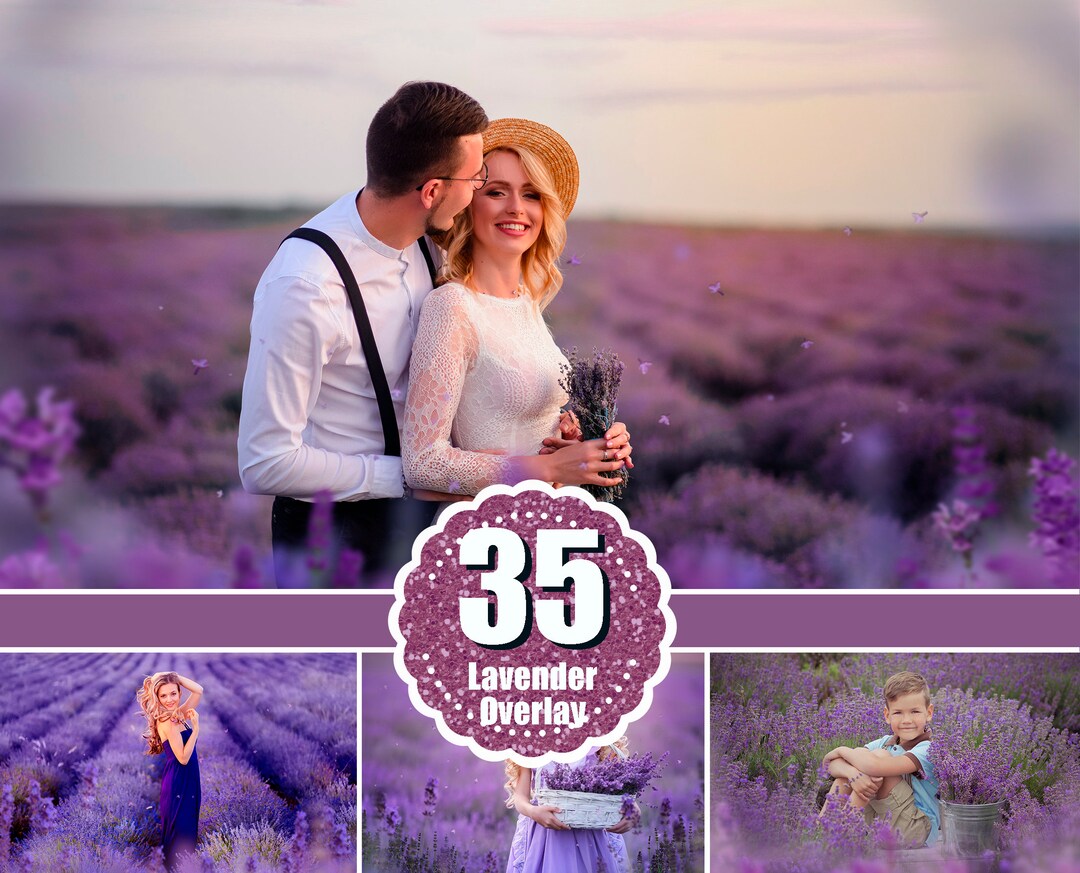 35 Lavender Photo Overlays, Flower Summer Spring Overlays, Digital ...