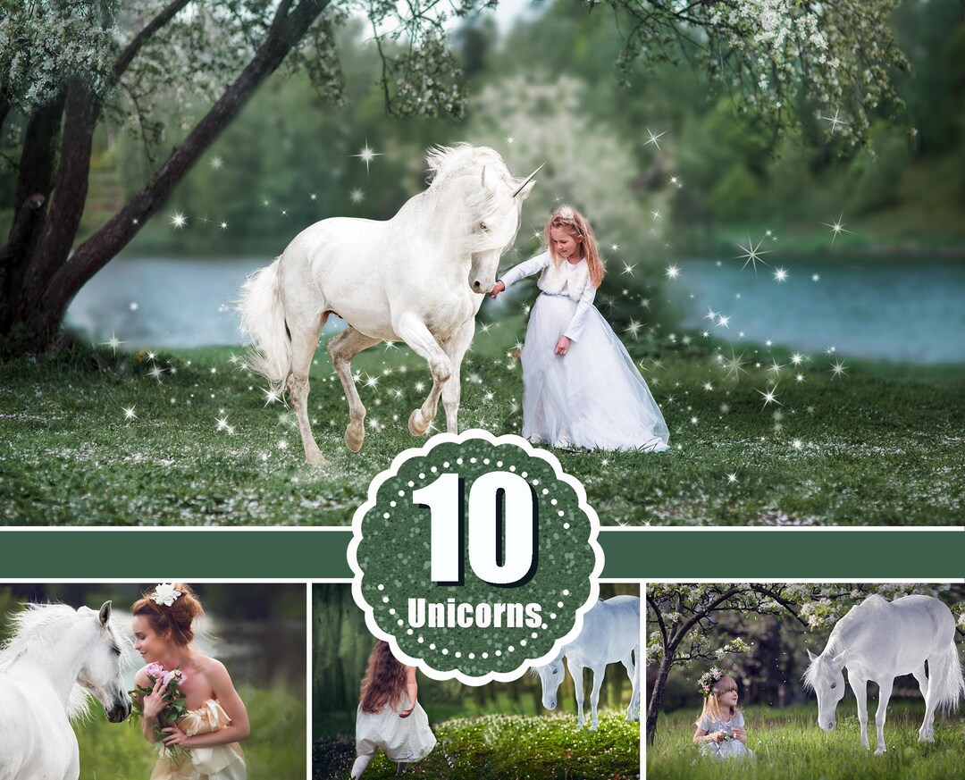 10 White Unicorn Overlays, Realistic Unicornclipart, Horse Animal ...