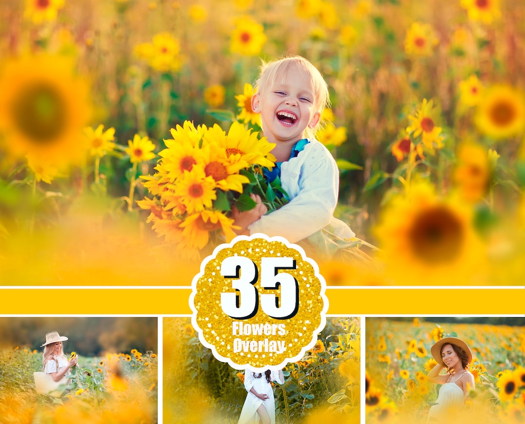 35 Sunflower Overlays, Flower Summer Overlays, Digital Backdrop ...