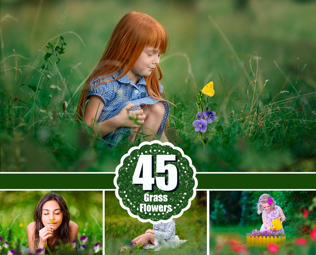 45 Grass and Flowers Photo Overlays, Summer Overlays, Art Frame ...