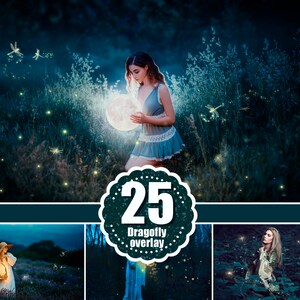 25 Dragonfly Firefly Butterfly Photo Overlay, Lightning Bug Overlay ...