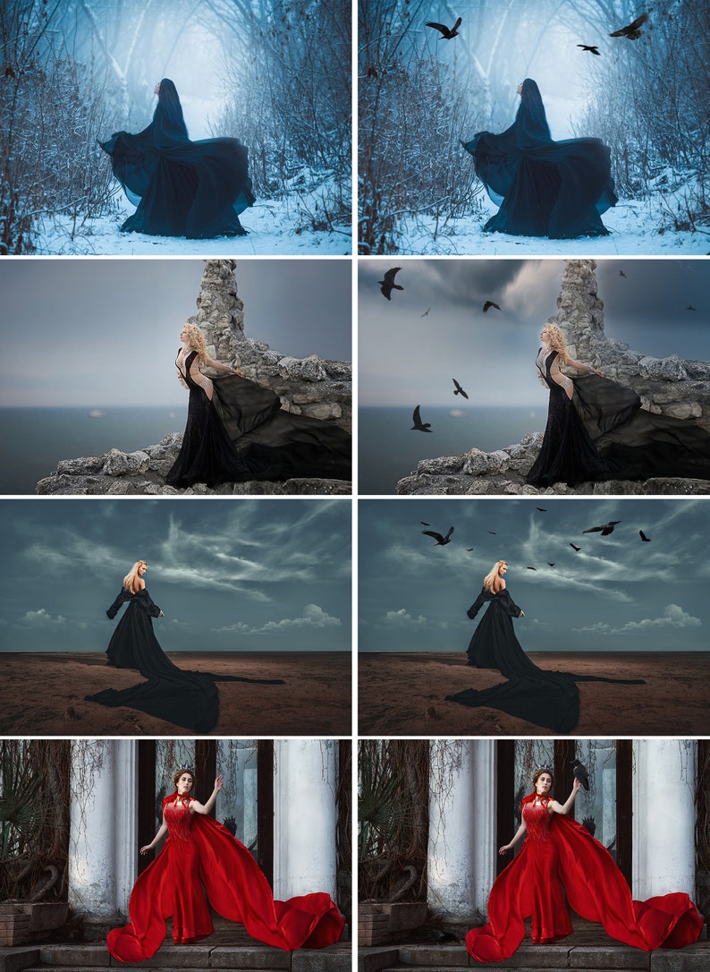 35 Raven Bird Photo Overlay, Crow Birds Overlays, Photoshop Overlay ...