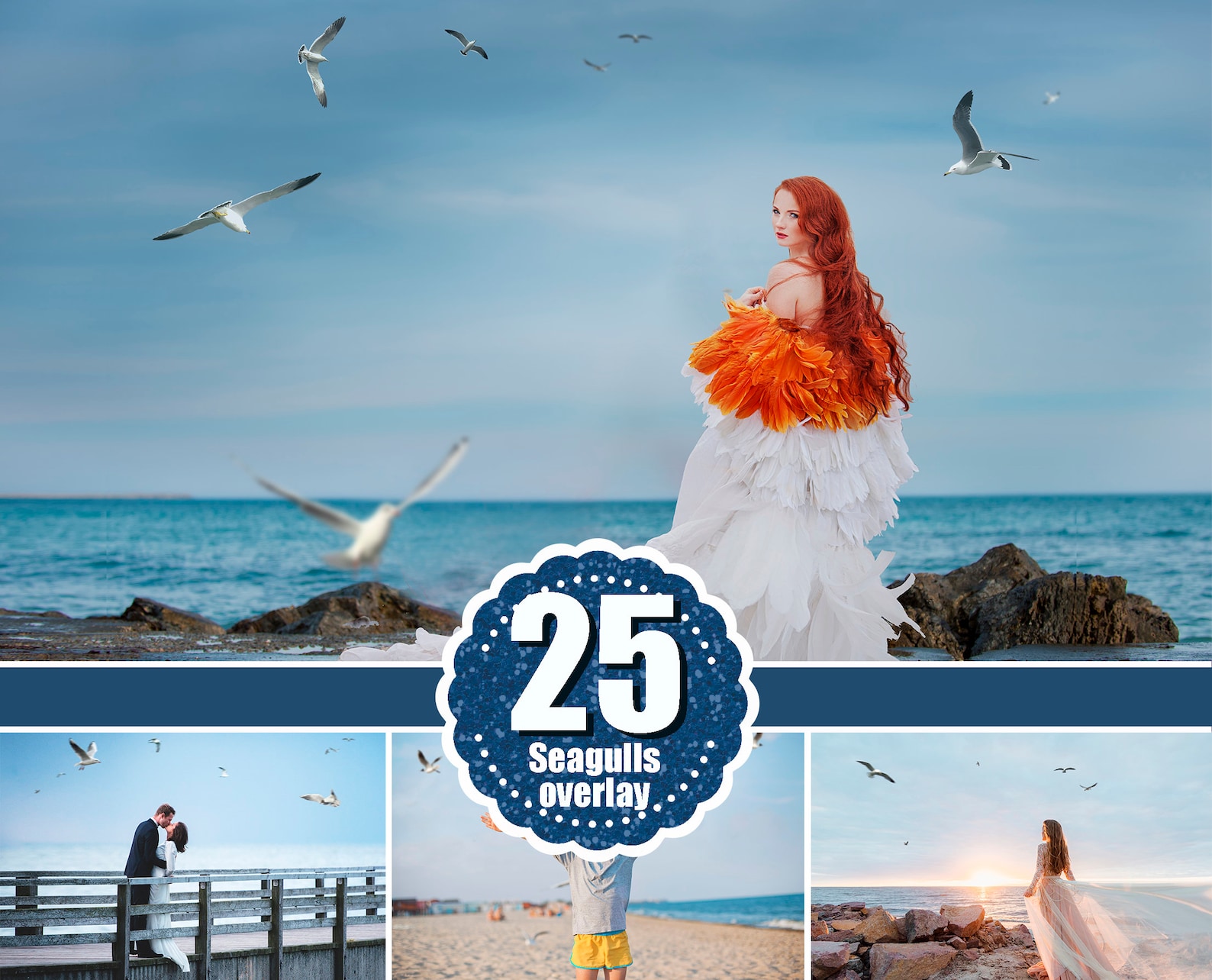 25 Bird Seagull Overlay, Realistic Flying Seagull Overlays, Photoshop ...