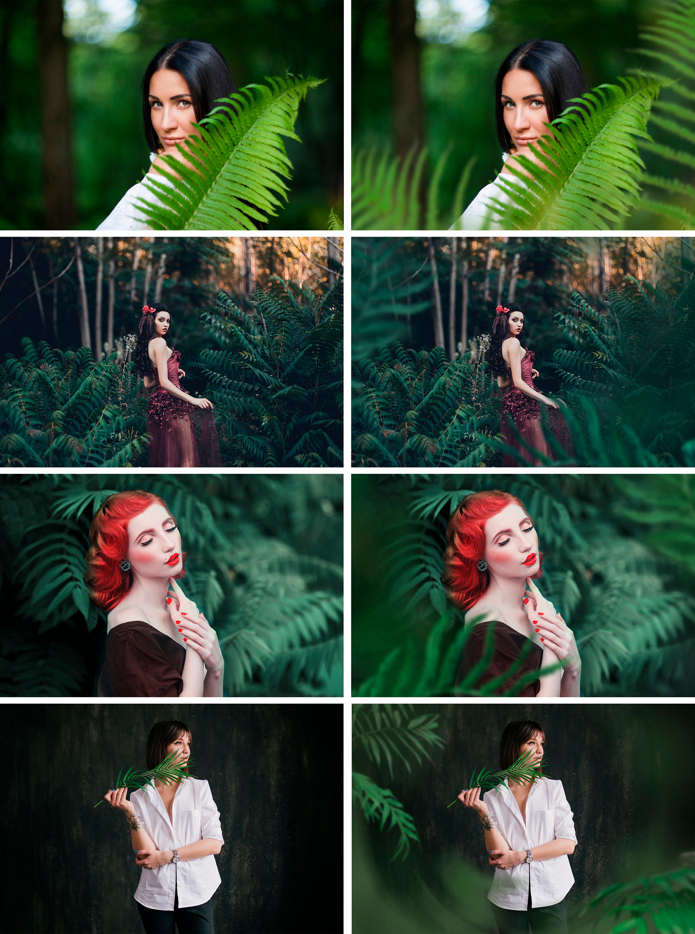 35 Fern Photo Overlays, Shooting Through Branches, Tree, Green, Forest ...