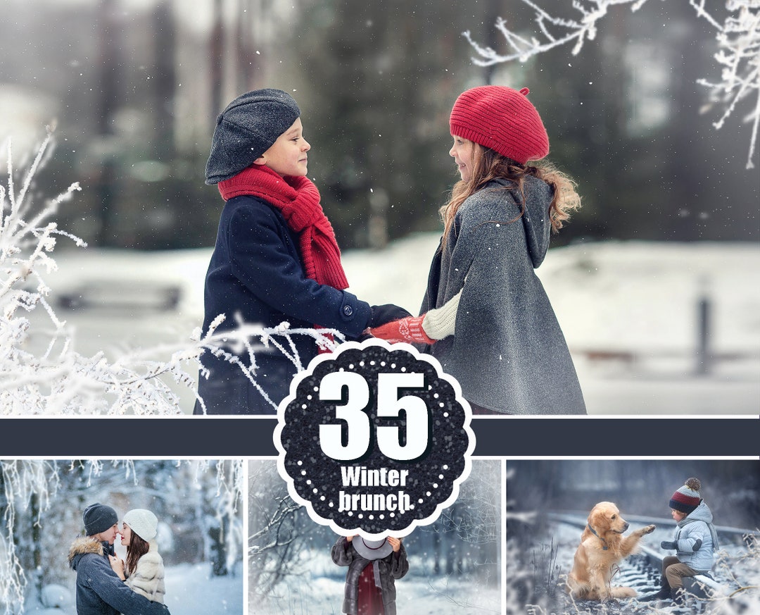 35 Winter Frozen Tree Branch Photo Overlays, Photoshop Overlay, Pine ...