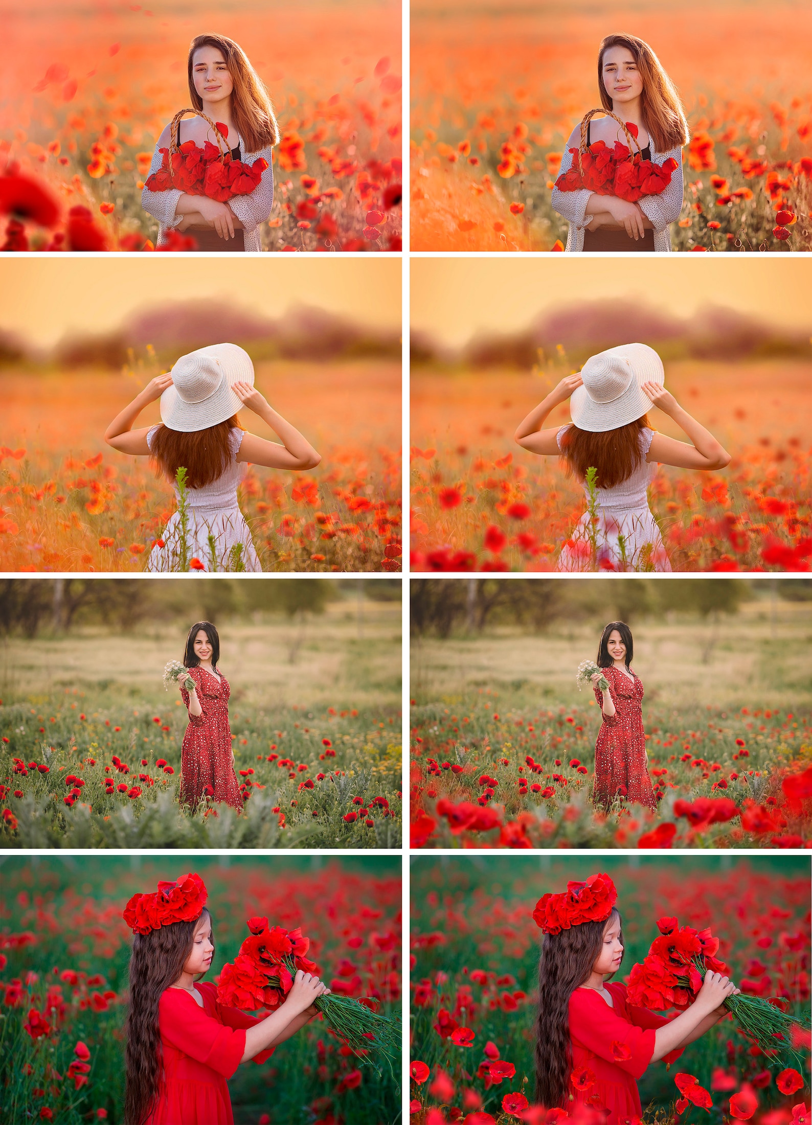 35 Red Poppies Overlays, Poppy Photo Overlay, Summer Flower Field ...