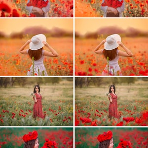 35 Red Poppies Overlays, Poppy Photo Overlay, Summer Flower Field ...