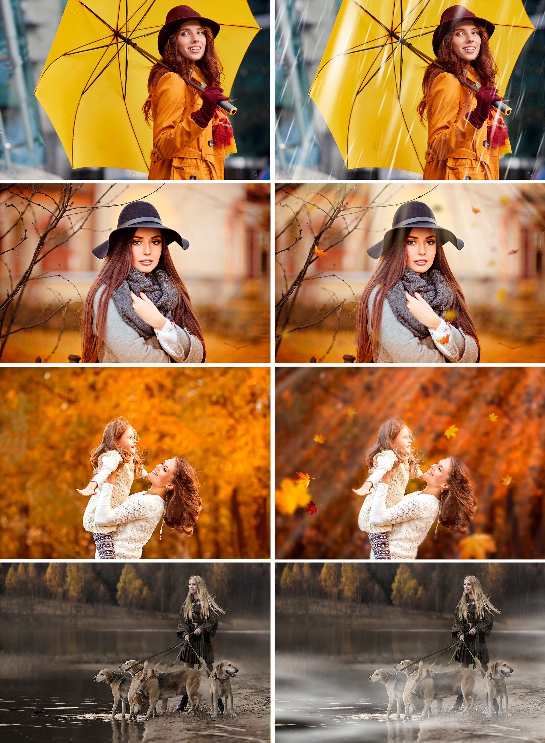 Autumn Set Photo Overlays, Falling Leaves Overlay, Fog Cloud Sky Rain ...
