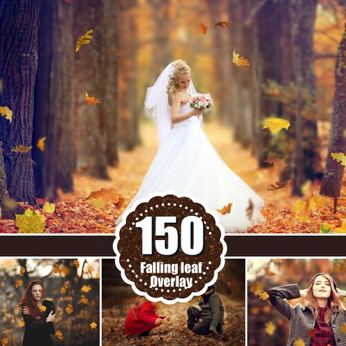 150 Falling Leaves Photo Overlays Photoshop Mix Overlays - Etsy