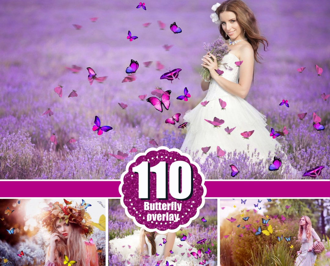 110 Butterfly Photo Overlay, Flying Butterfly Overlay, Realistic ...