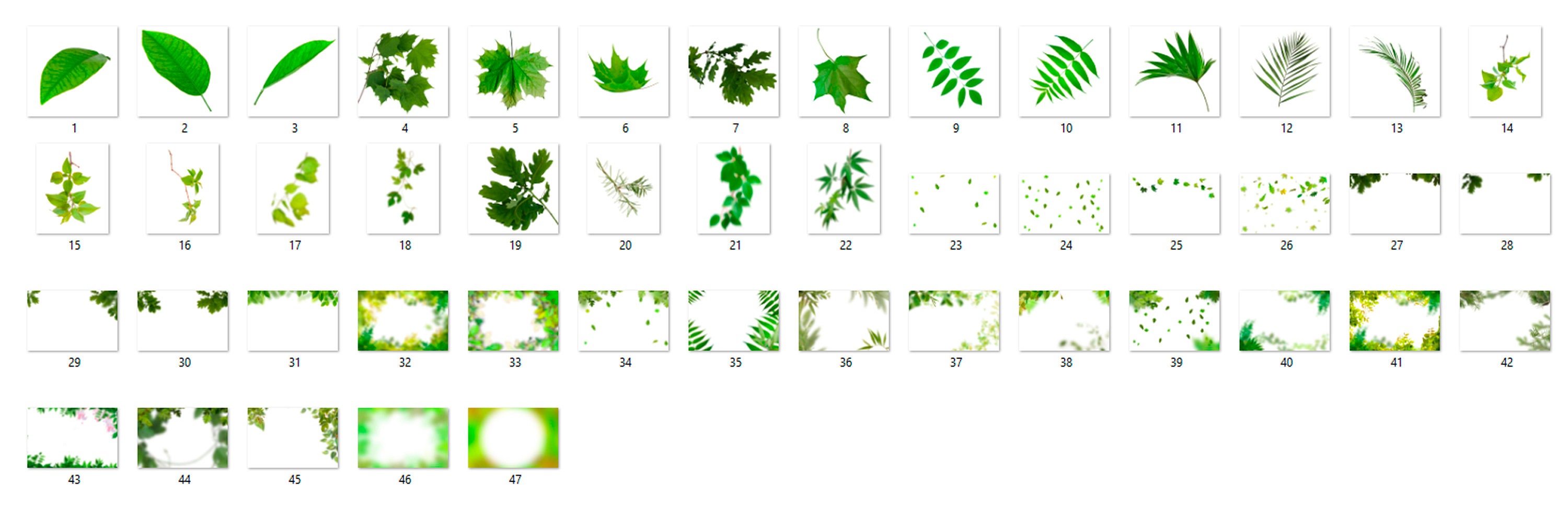 45 Branches Photo Overlays, Shooting Through Branches, Tree, Green ...