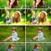 45 Grass and Flowers Photo Overlays, Summer Overlays, Art Frame ...