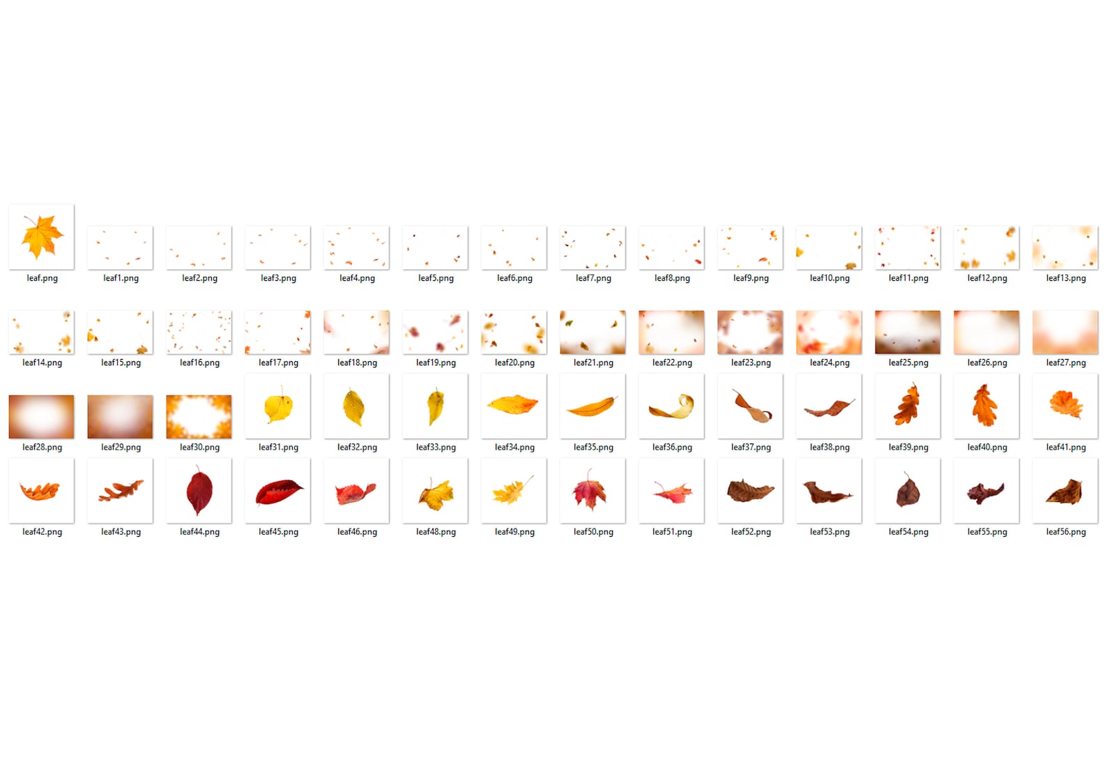 55 Falling Leaves Overlays Photoshop Mix Overlays Photo - Etsy