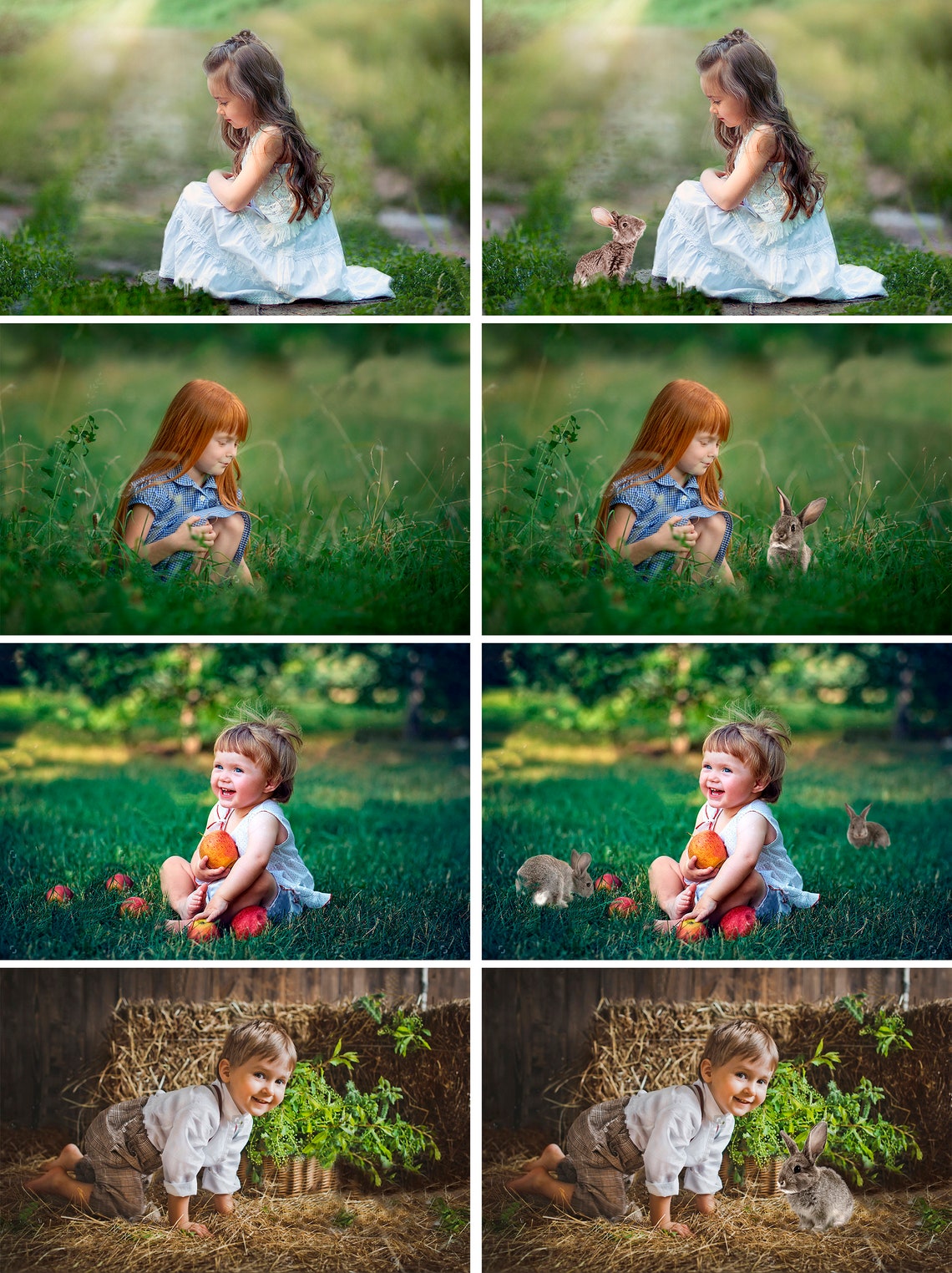 10 Different Grey Rabbit Bunny Animals Photo Overlays - Etsy